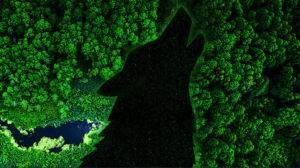 Locations | WolfPack Industries