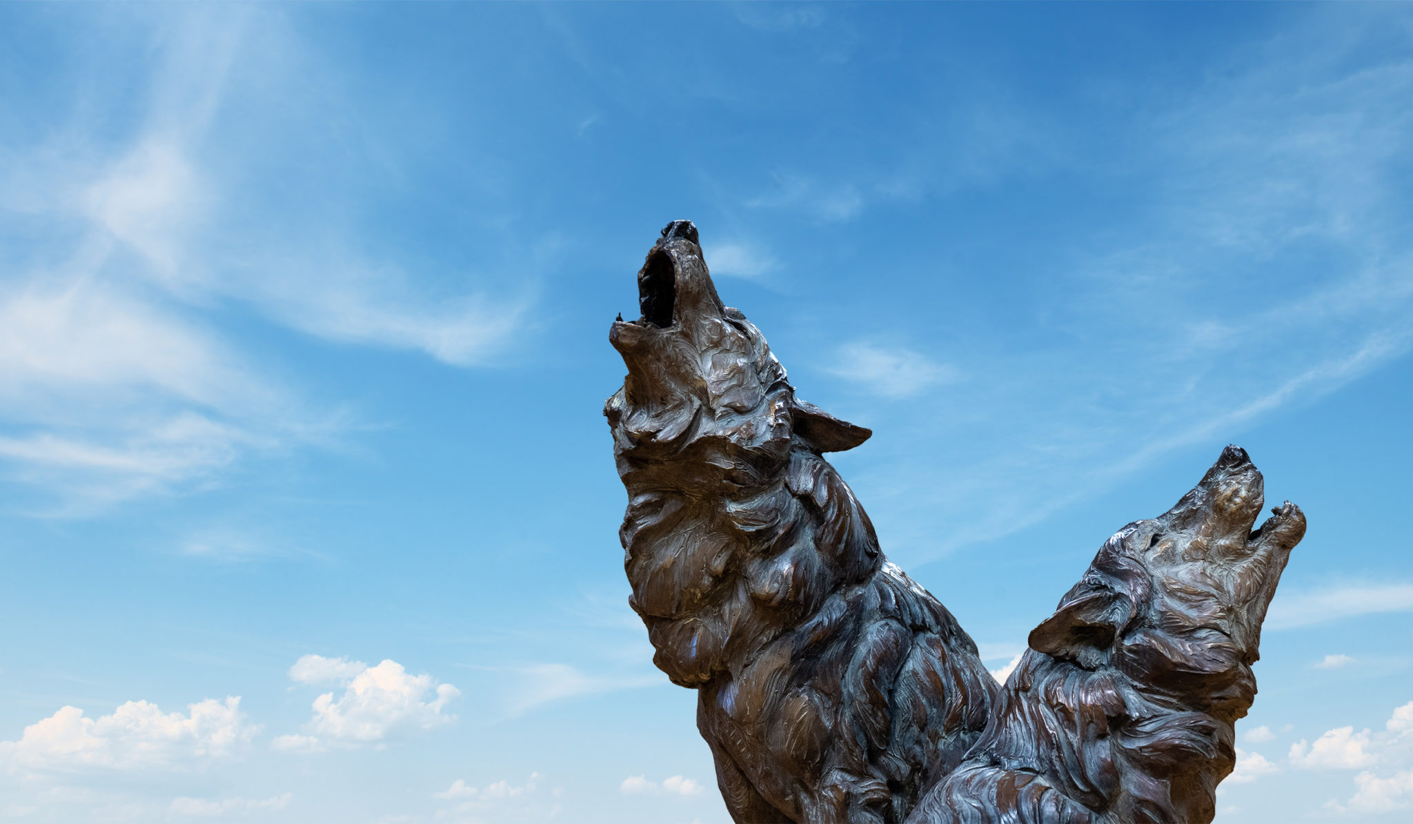 Locations | WolfPack Industries